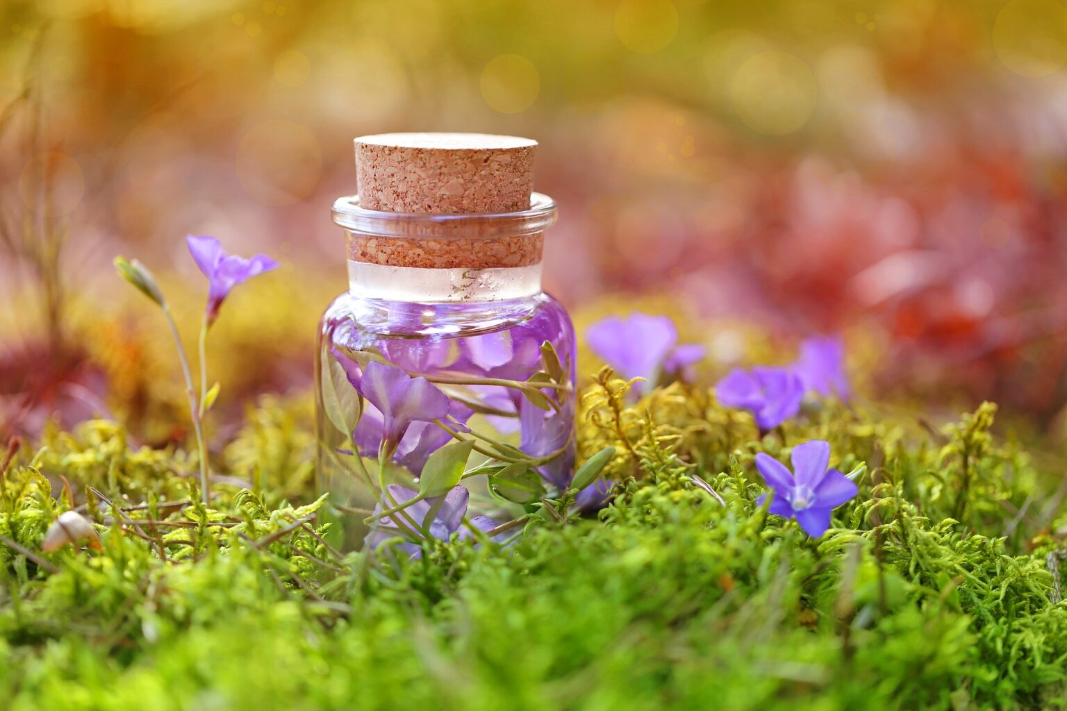 How to Make Perfect Infusions and Decoctions