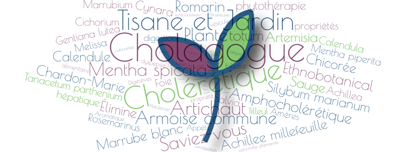 cholagogue – astuces pour intégrer les plantes bio à son jardin, son ...