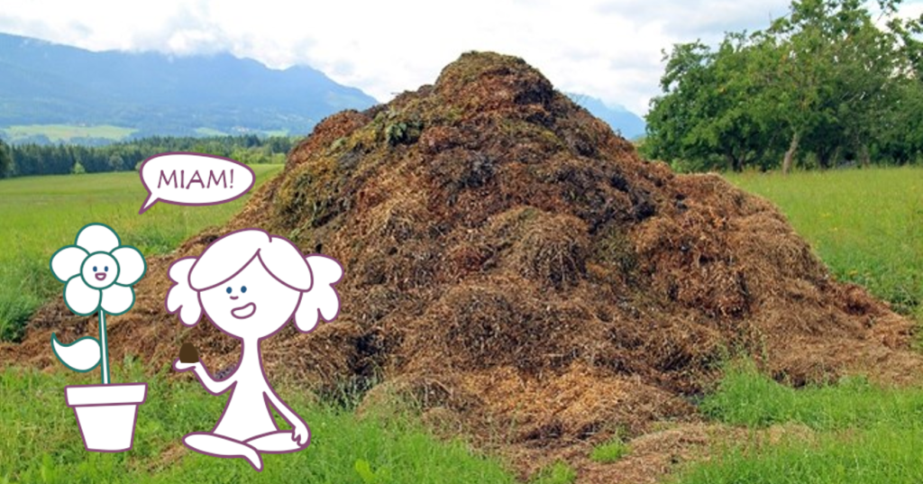 Le compost : quand économie rime avec écologie – astuces pour intégrer ...